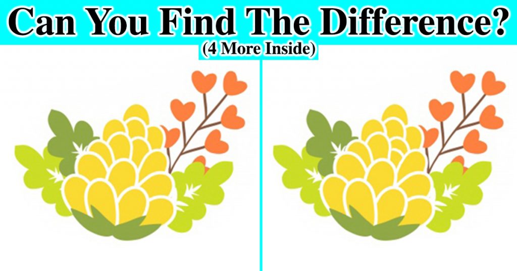 Only People With Sharp Eyes Can Spot The Differences In 90 Seconds See