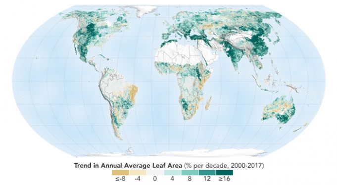 NASA Happily Reports: The Earth Is Greener, With More Trees Than 20 ...