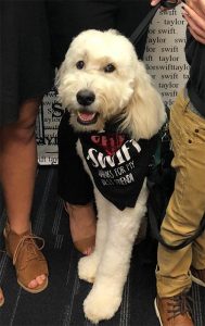 Taylor Swift Paid $10K To Get Companion Service Dog For Lovable 8-Year ...